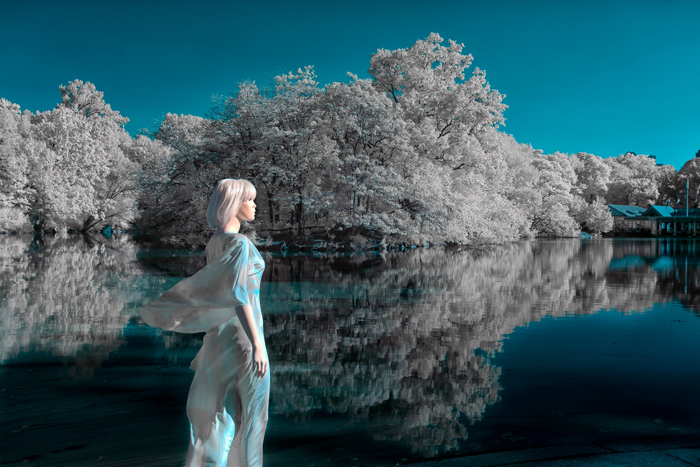 MOURLOT EDITIONS: "Papillon..." by Celia Rogge – Mourlot Editions